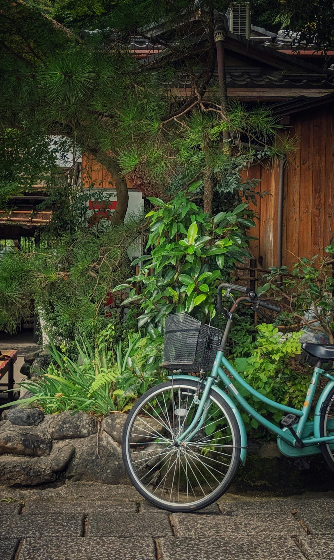 Kyoto Design Guide: Aesthetic Travel Through Art, Architecture & Hidden ...